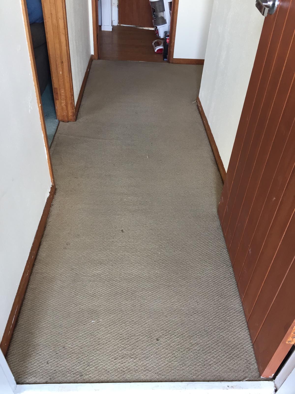 Mr. Carpet Cleaner