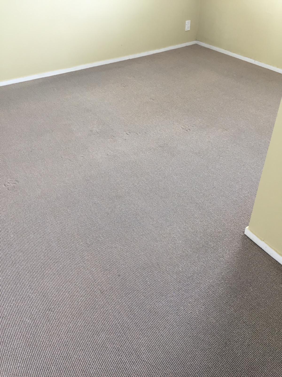 Mr. Carpet Cleaner